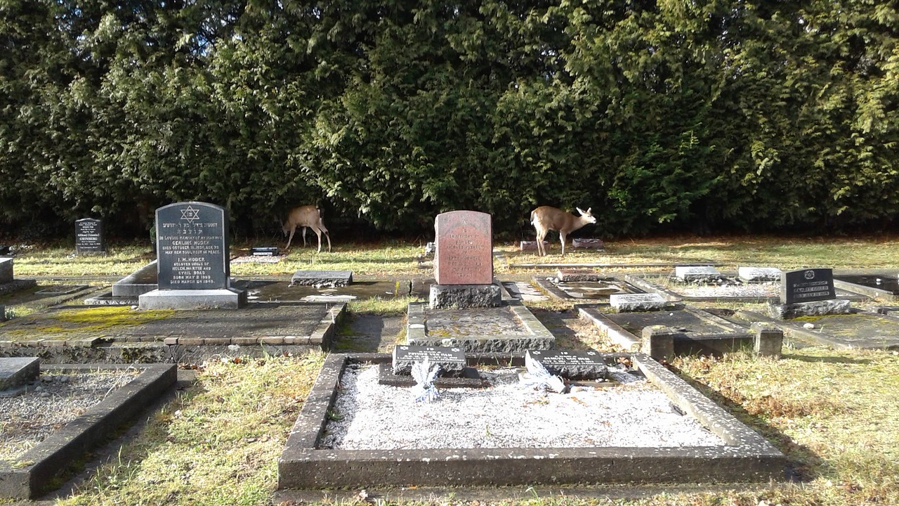 History – The Jewish Cemetery of Victoria, British Columbia